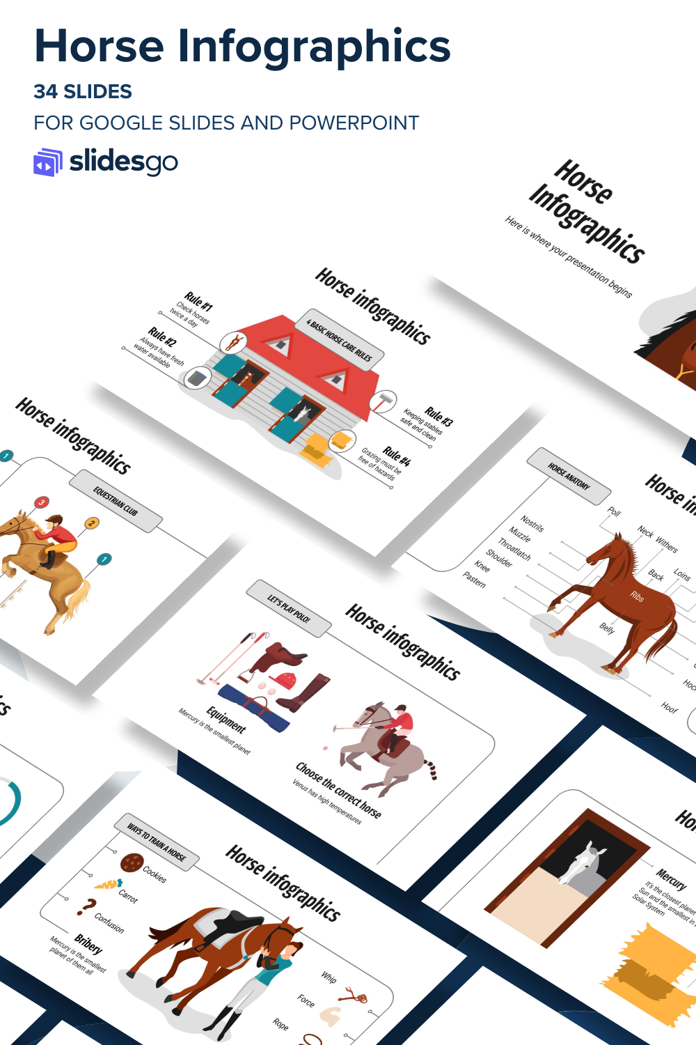 Horse Infographics | Google Slides & PowerPoint Template