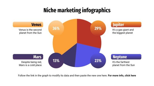 Niche Marketing Infographics | Google Slides & PPT