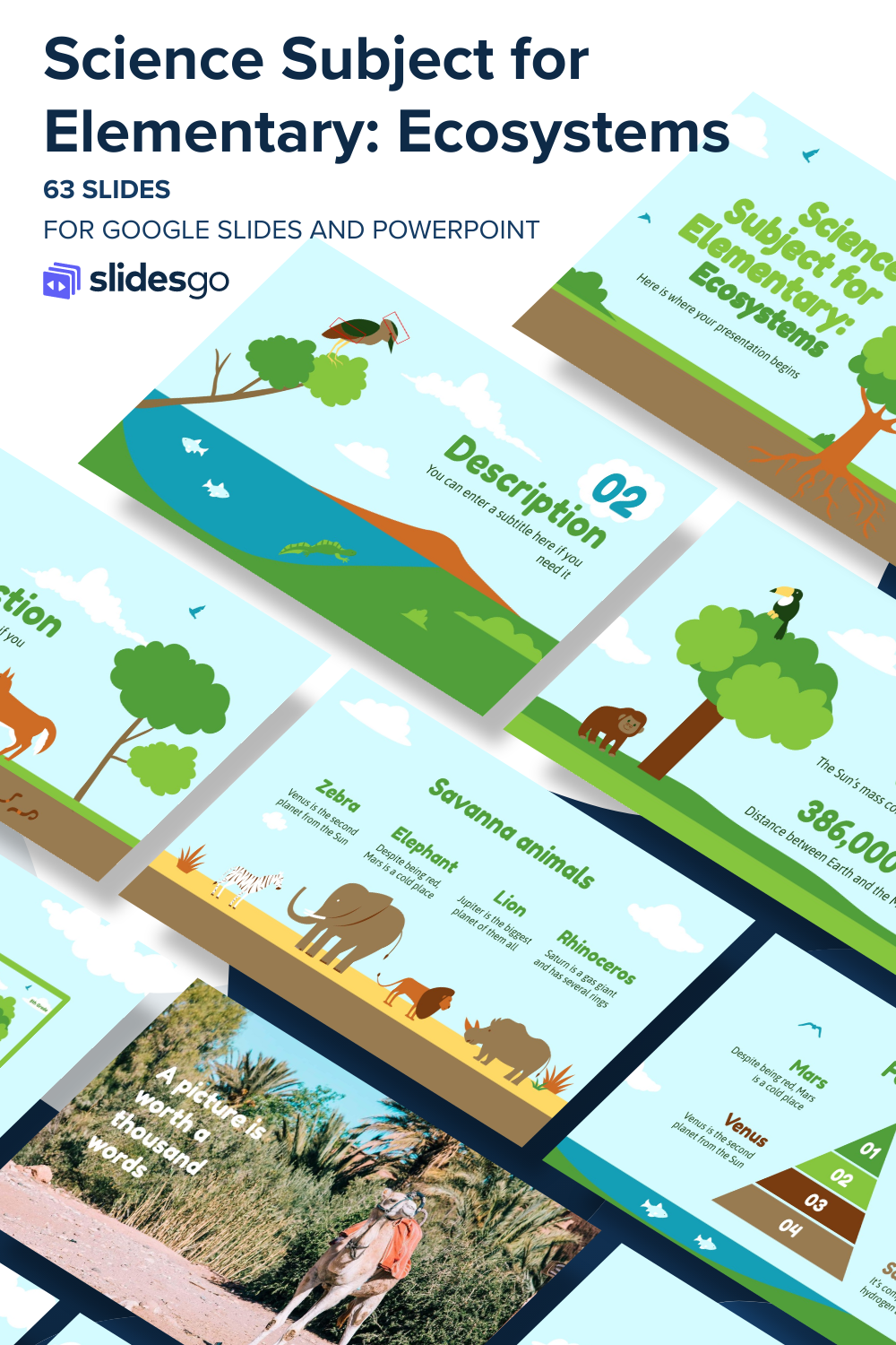 Science Subject for Elementary - 5th Grade: Ecosystems