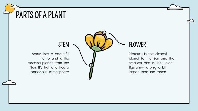 Biology Subject for Pre-K: Parts of a Plant