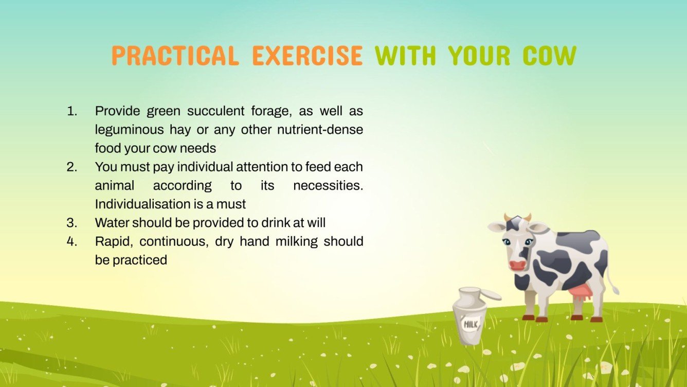 Caring for Cows Workshop | Google Slides & PowerPoint