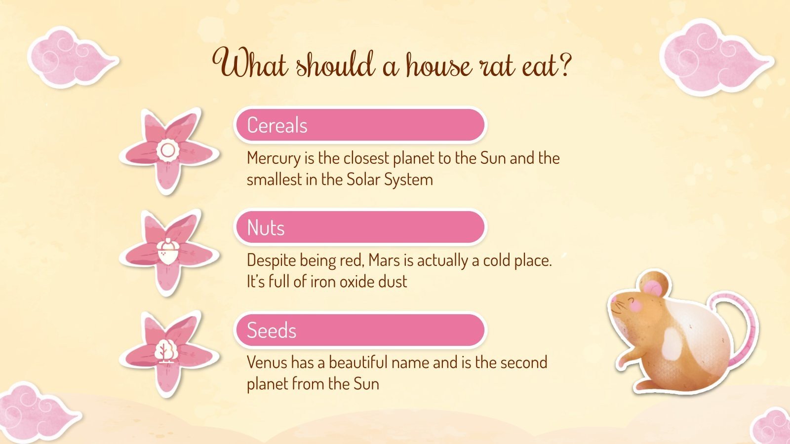 World Rat Day Minitheme | Google Slides & PowerPoint