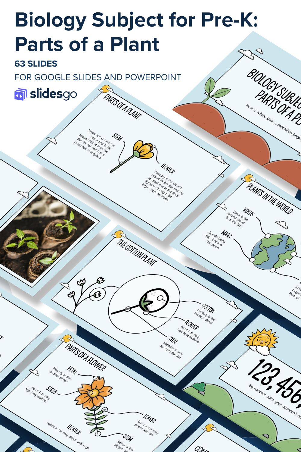 Biology Subject for Pre-K: Parts of a Plant