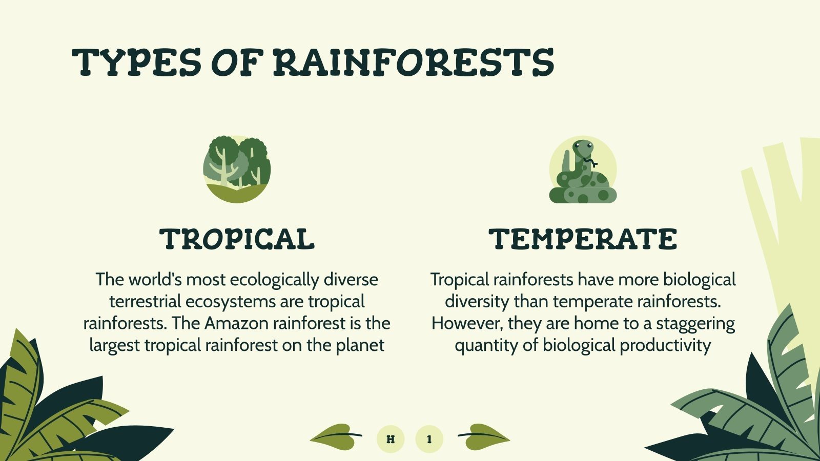 Rainforests of the World | Google Slides & PowerPoint