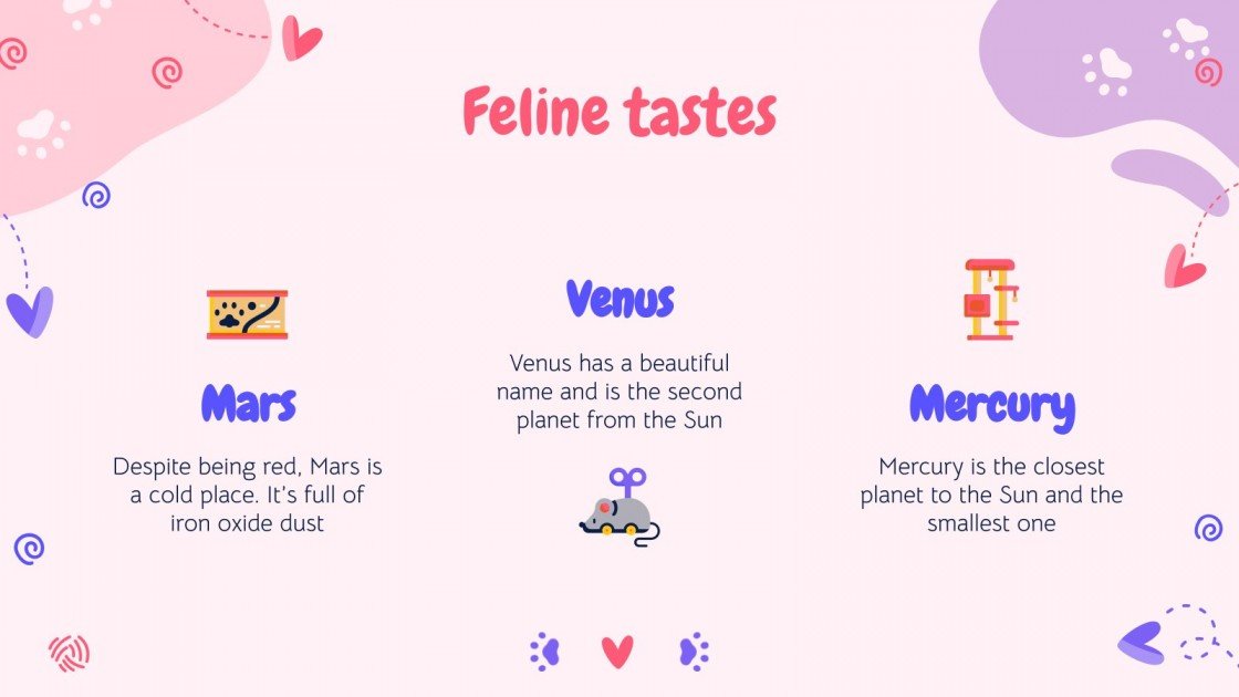 Cats, Cats, CATS! | Google Slides & PowerPoint Template