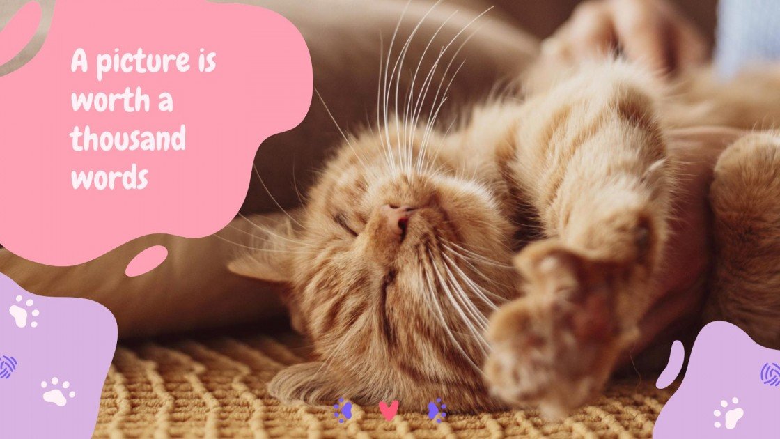 Cats, Cats, CATS! | Google Slides & PowerPoint Template