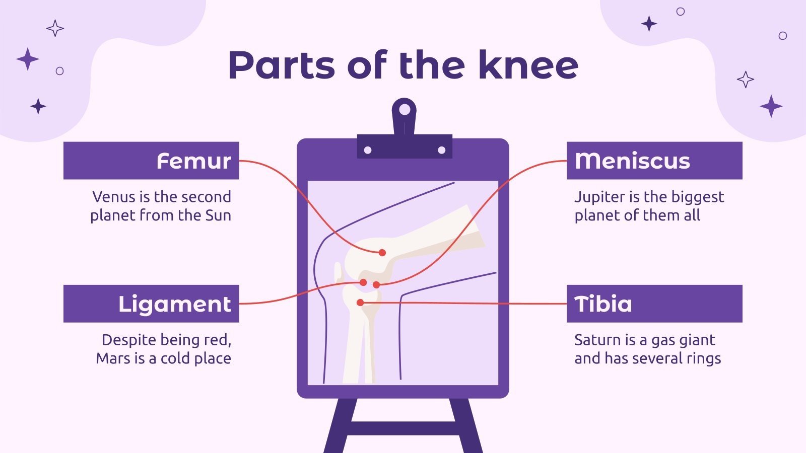 Knee Joint Anatomy and Biomechanics Thesis | Google Slides