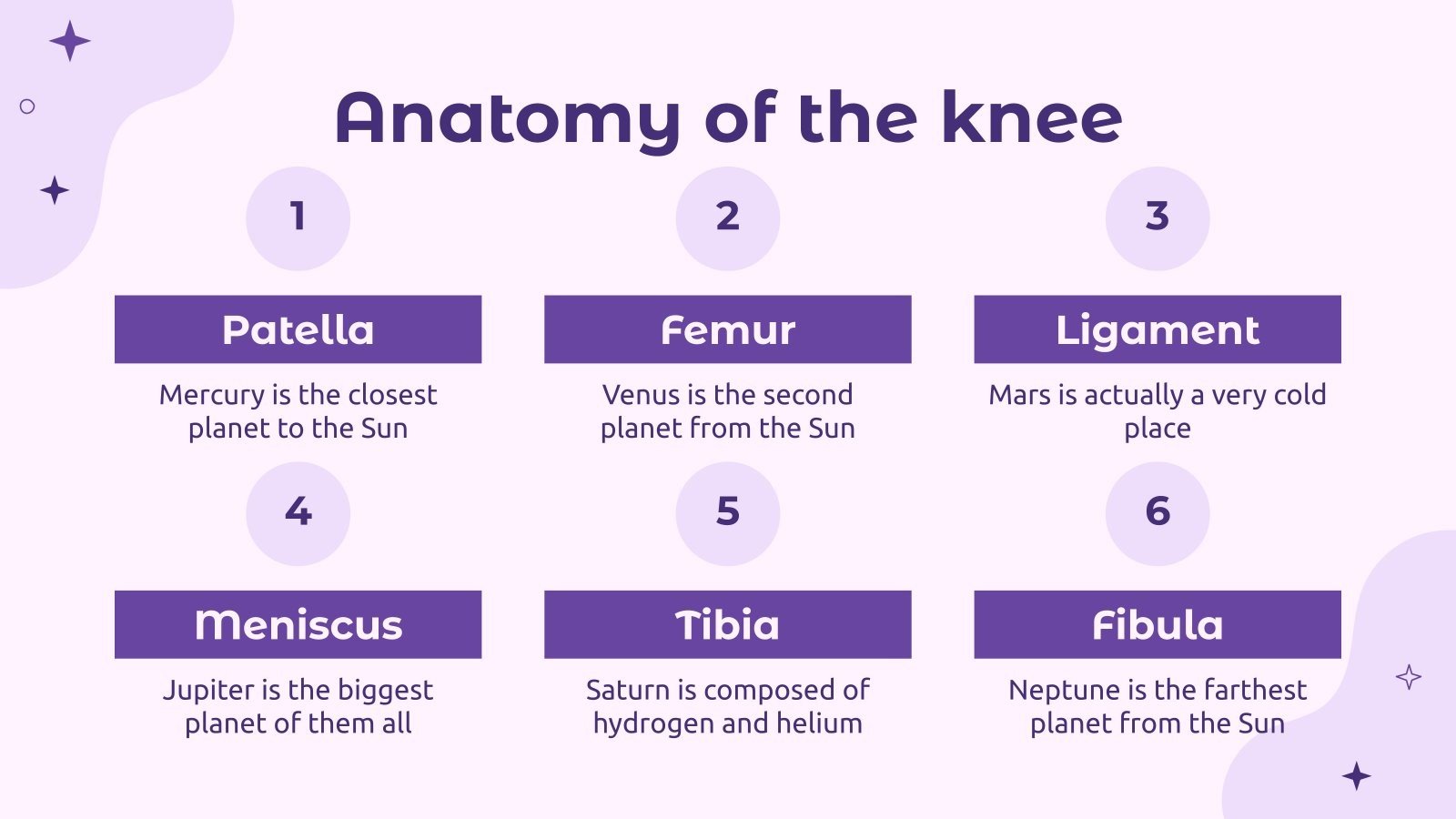 Knee Joint Anatomy and Biomechanics Thesis | Google Slides