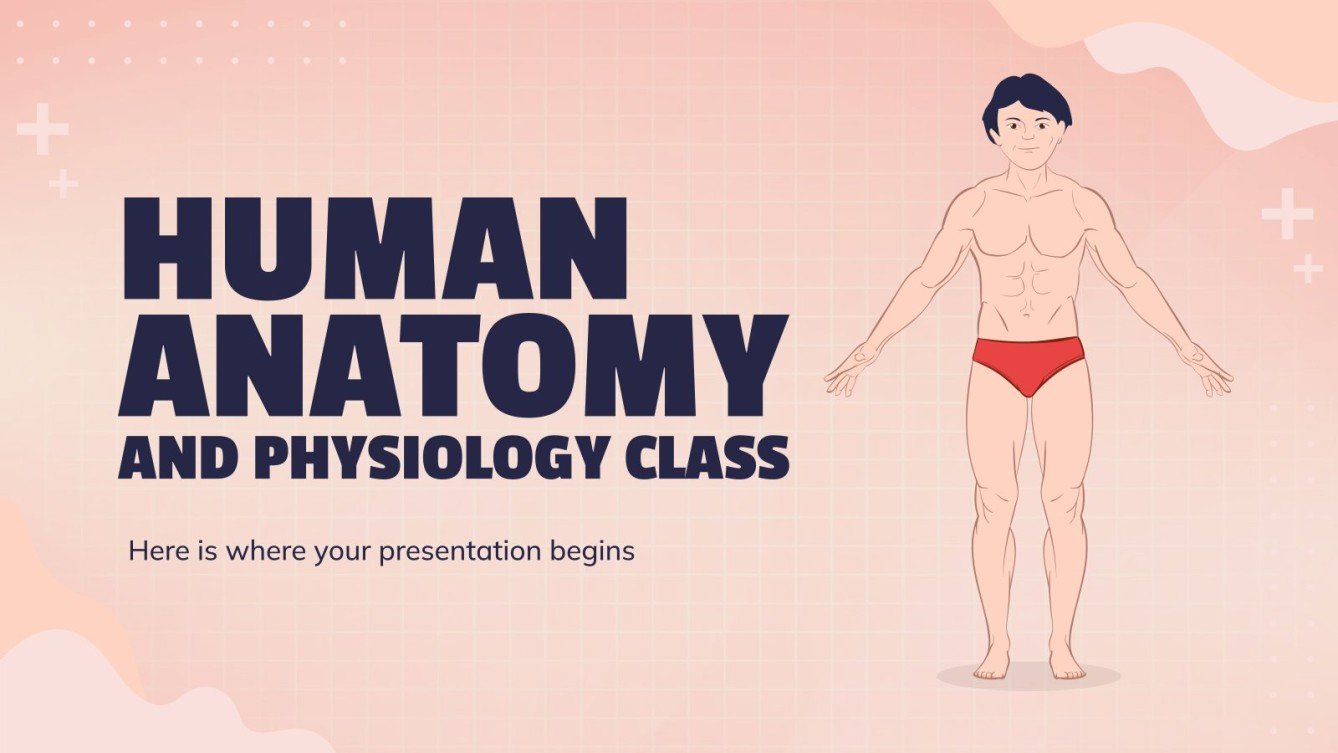Human Anatomy and Physiology Class | Google Slides & PPT