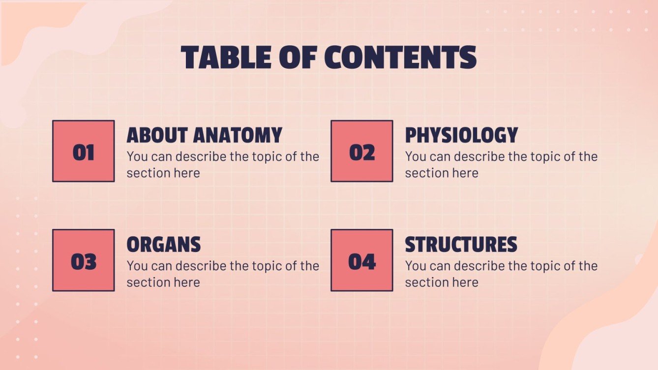 Human Anatomy and Physiology Class | Google Slides & PPT