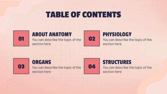 Human Anatomy and Physiology Class | Google Slides & PPT