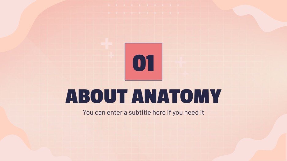 Human Anatomy and Physiology Class | Google Slides & PPT