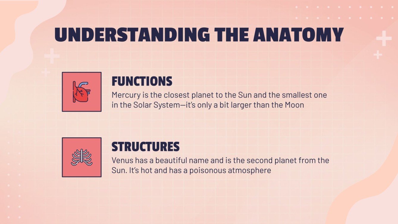 Human Anatomy and Physiology Class | Google Slides & PPT