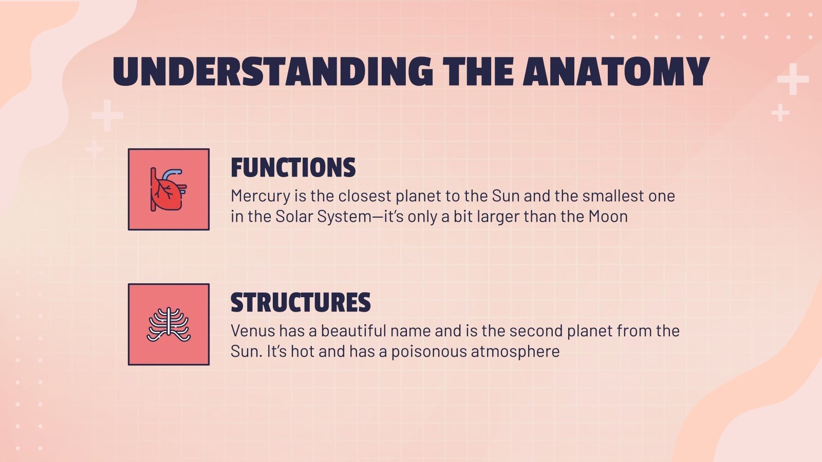 Human Anatomy and Physiology Class | Google Slides & PPT