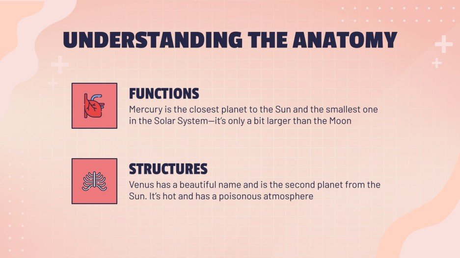 Human Anatomy and Physiology Class | Google Slides & PPT