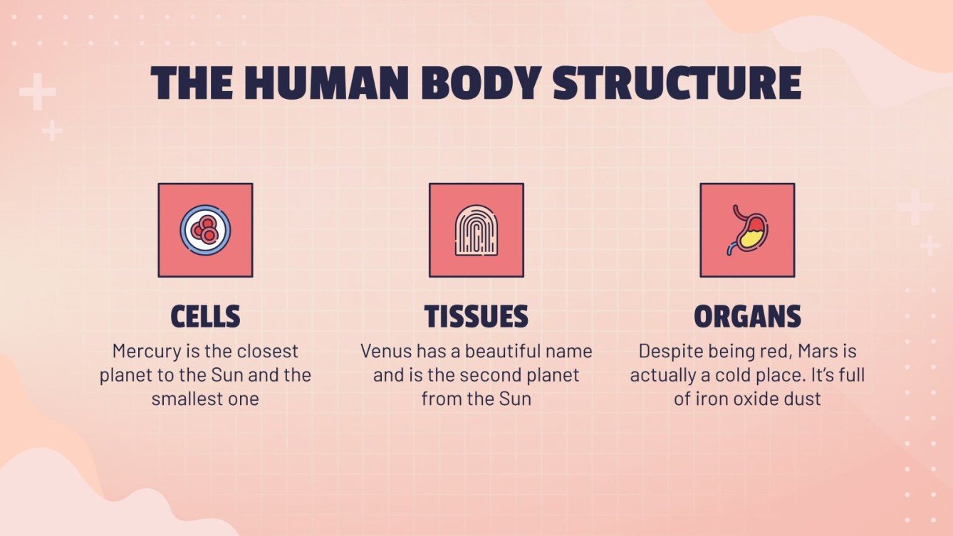 Human Anatomy and Physiology Class | Google Slides & PPT