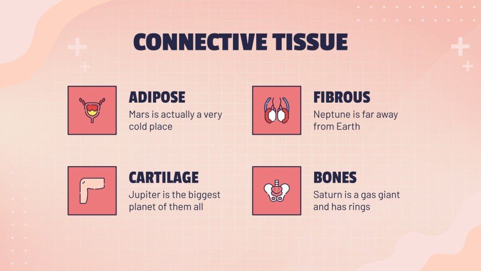 Human Anatomy and Physiology Class | Google Slides & PPT