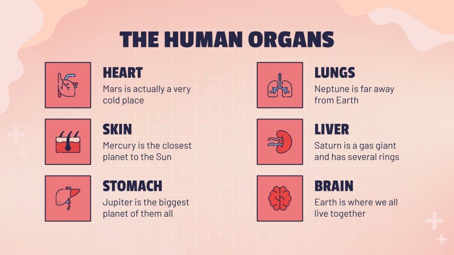 Human Anatomy and Physiology Class | Google Slides & PPT