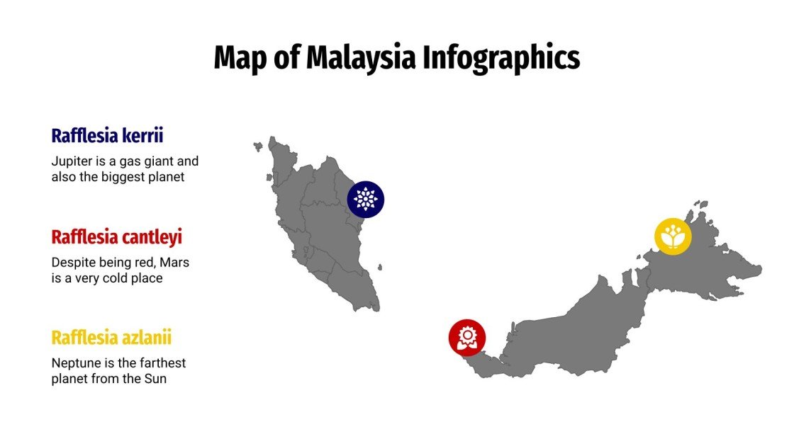 Map of Malaysia Infographics for Google Slides & PowerPoint
