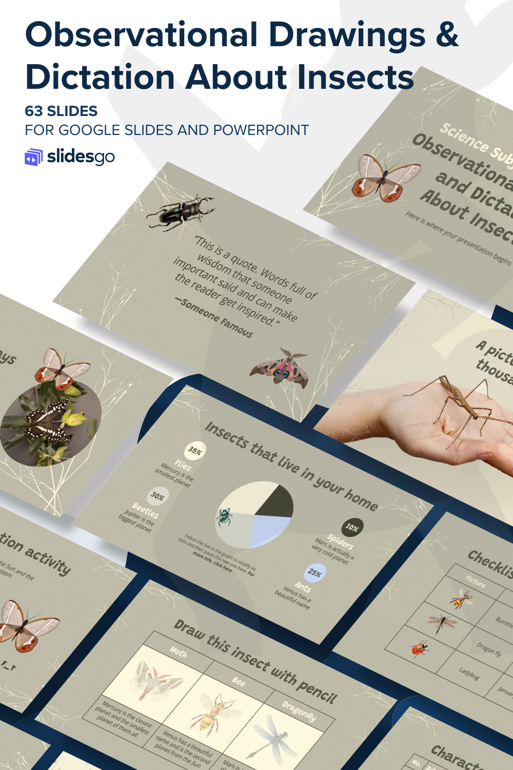 Science for Pre-K: Drawings & Dictation of Insects