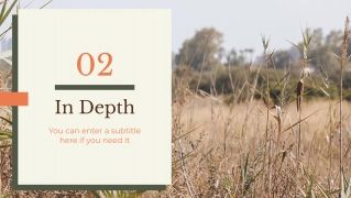 Fall Updates Newsletter Slides theme & PowerPoint template