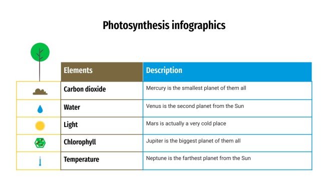 Photosyntesis Infographics | Google Slides & PPT