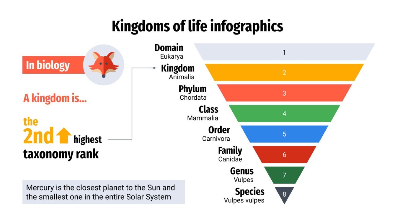 Kingdoms of Life Infographics | Google Slides & PowerPoint