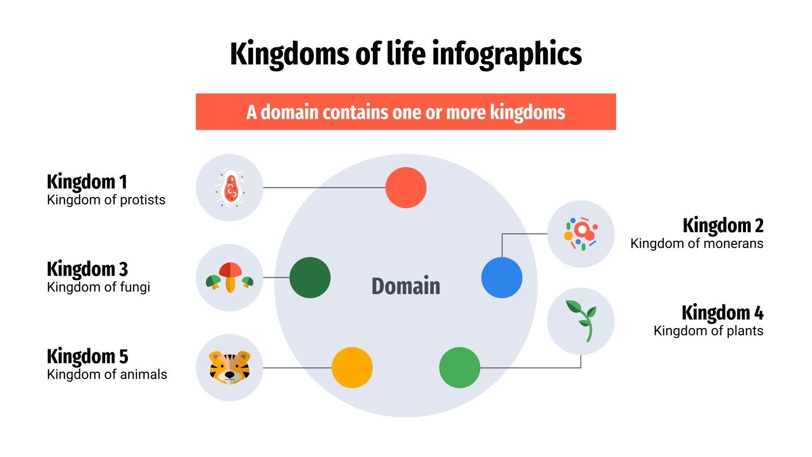 Infographies sur les règnes du vivant | Google Slides et PPT