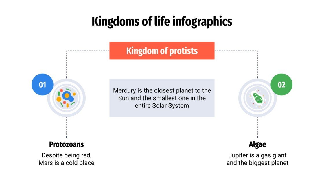 Kingdoms of Life Infographics | Google Slides & PowerPoint