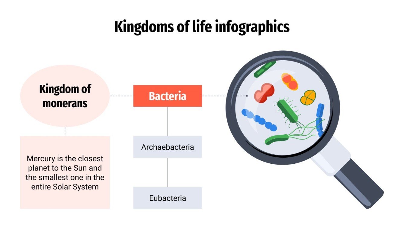 Infographies sur les règnes du vivant | Google Slides et PPT