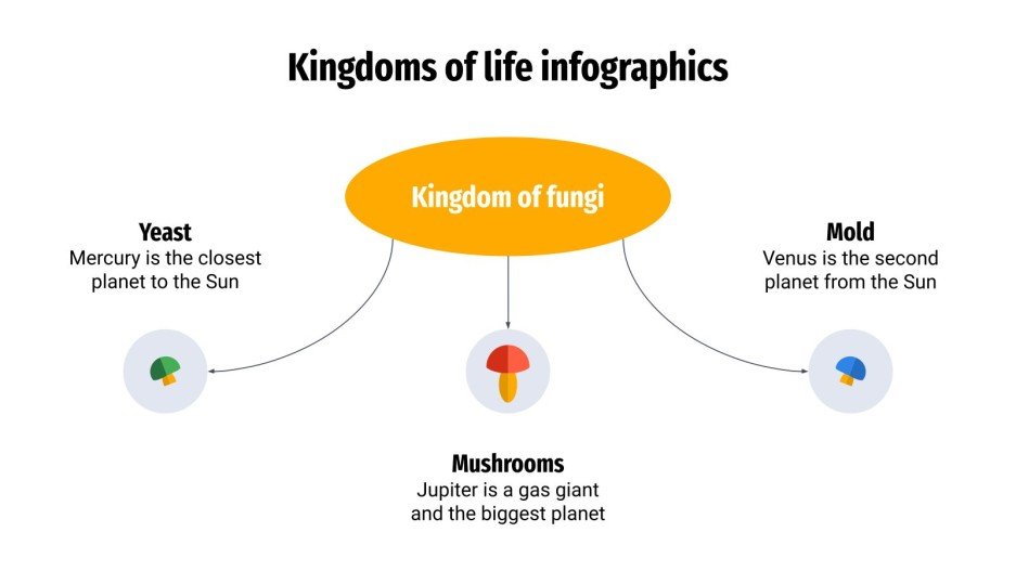 Kingdoms of Life Infographics | Google Slides & PowerPoint