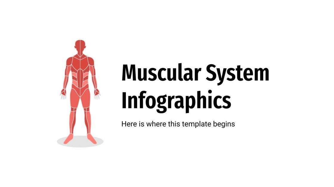 Muscular System Infographics | Google Slides and PowerPoint