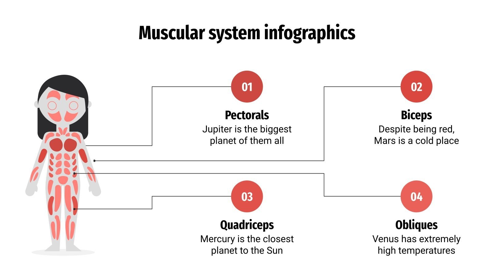 Muscular System Infographics | Google Slides and PowerPoint