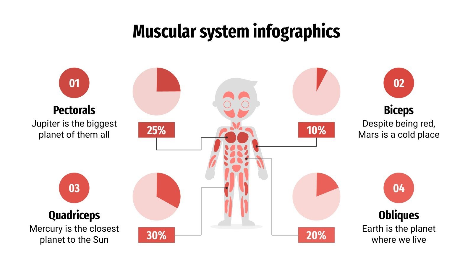 Muscular System Infographics | Google Slides and PowerPoint