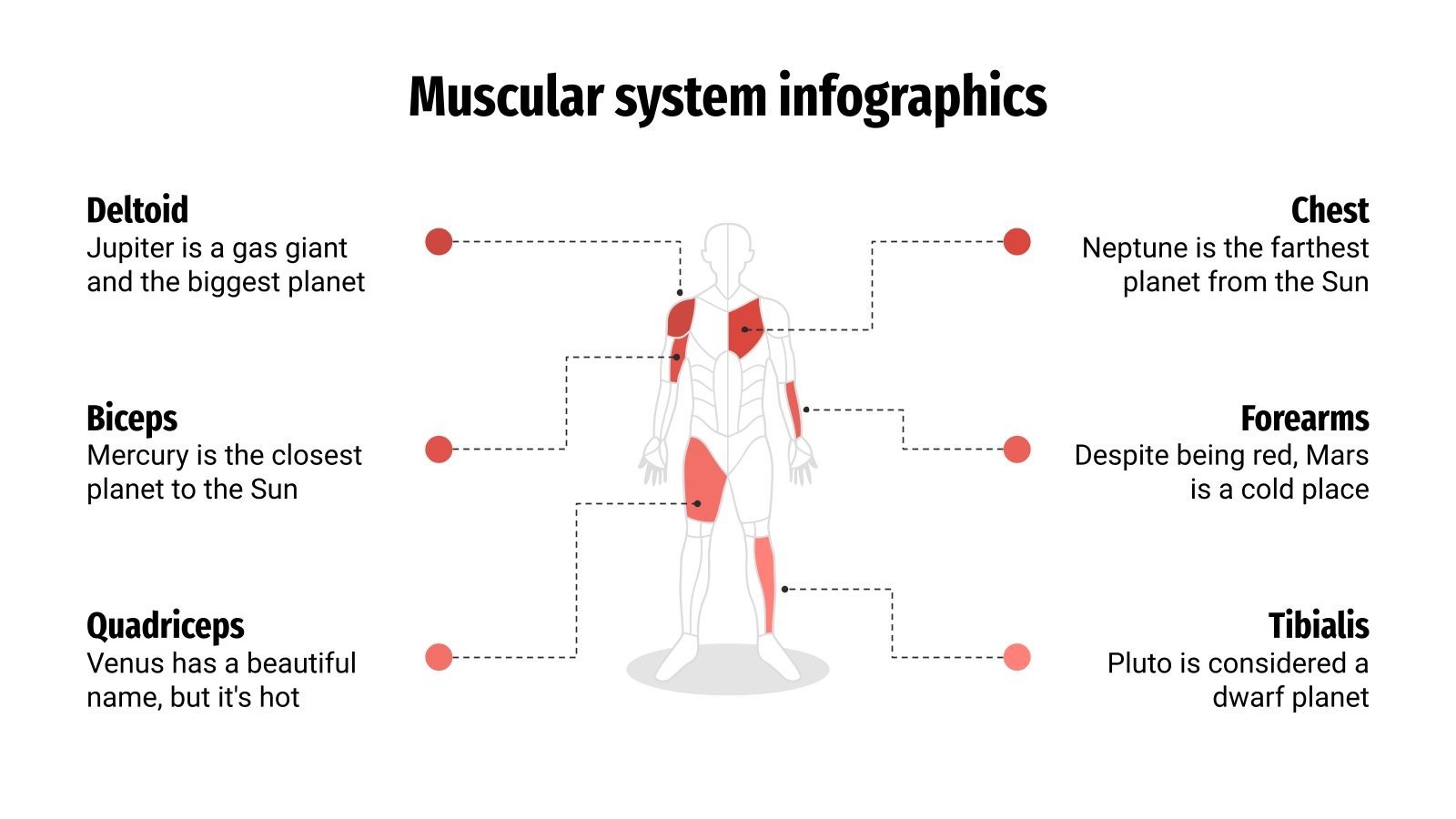 Muscular System Infographics | Google Slides and PowerPoint
