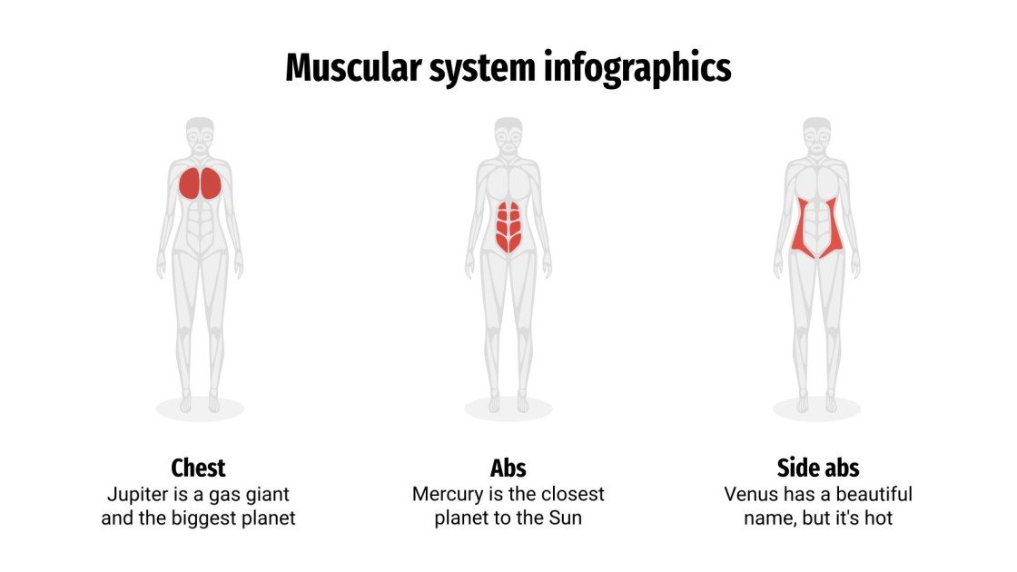 Muscular System Infographics | Google Slides and PowerPoint