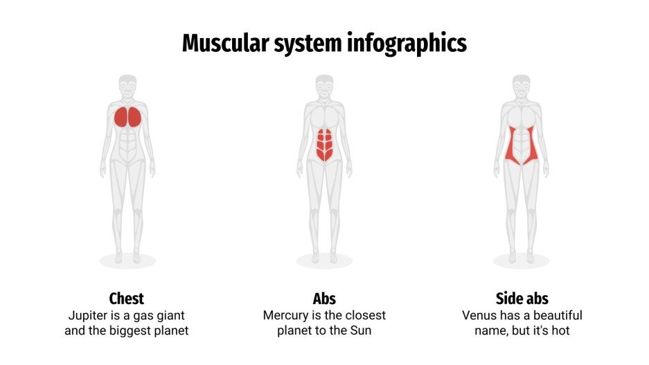 Muscular System Infographics | Google Slides and PowerPoint