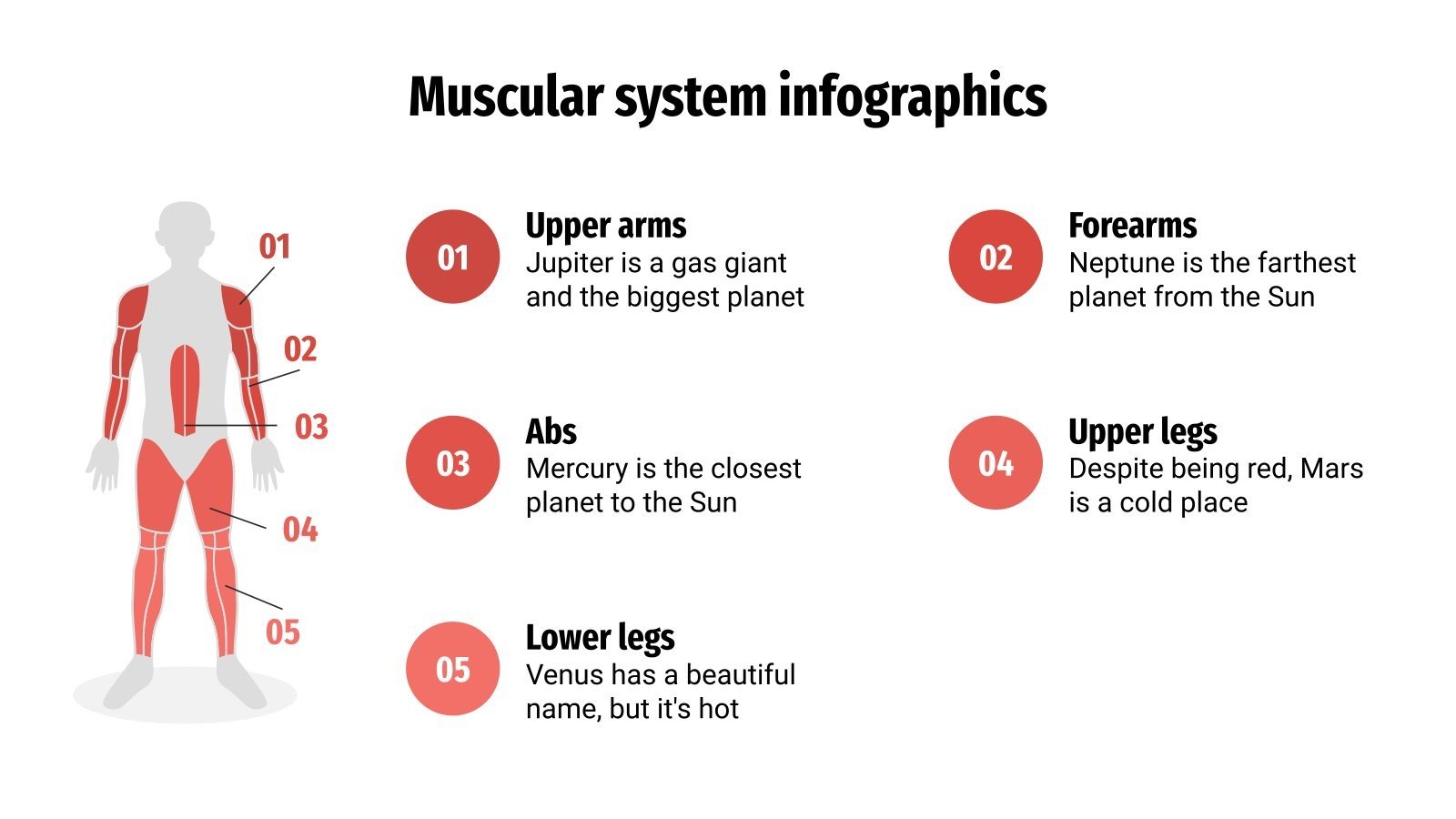 Infografías sistema muscular | Google Slides y PowerPoint
