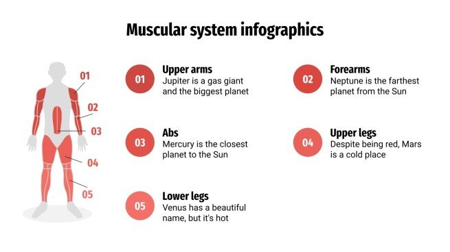 Muscular System Infographics | Google Slides and PowerPoint
