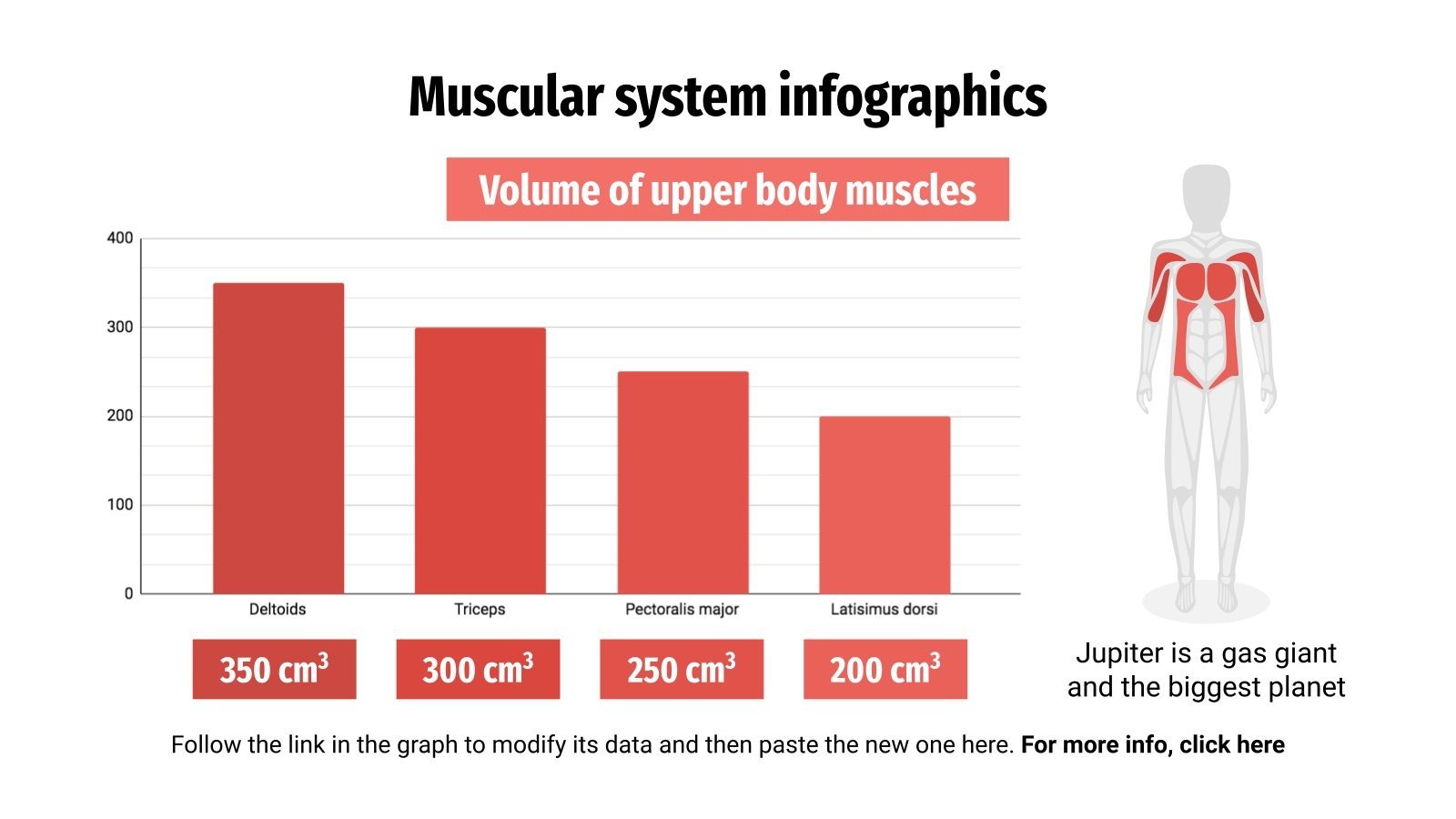Muscular System Infographics | Google Slides and PowerPoint