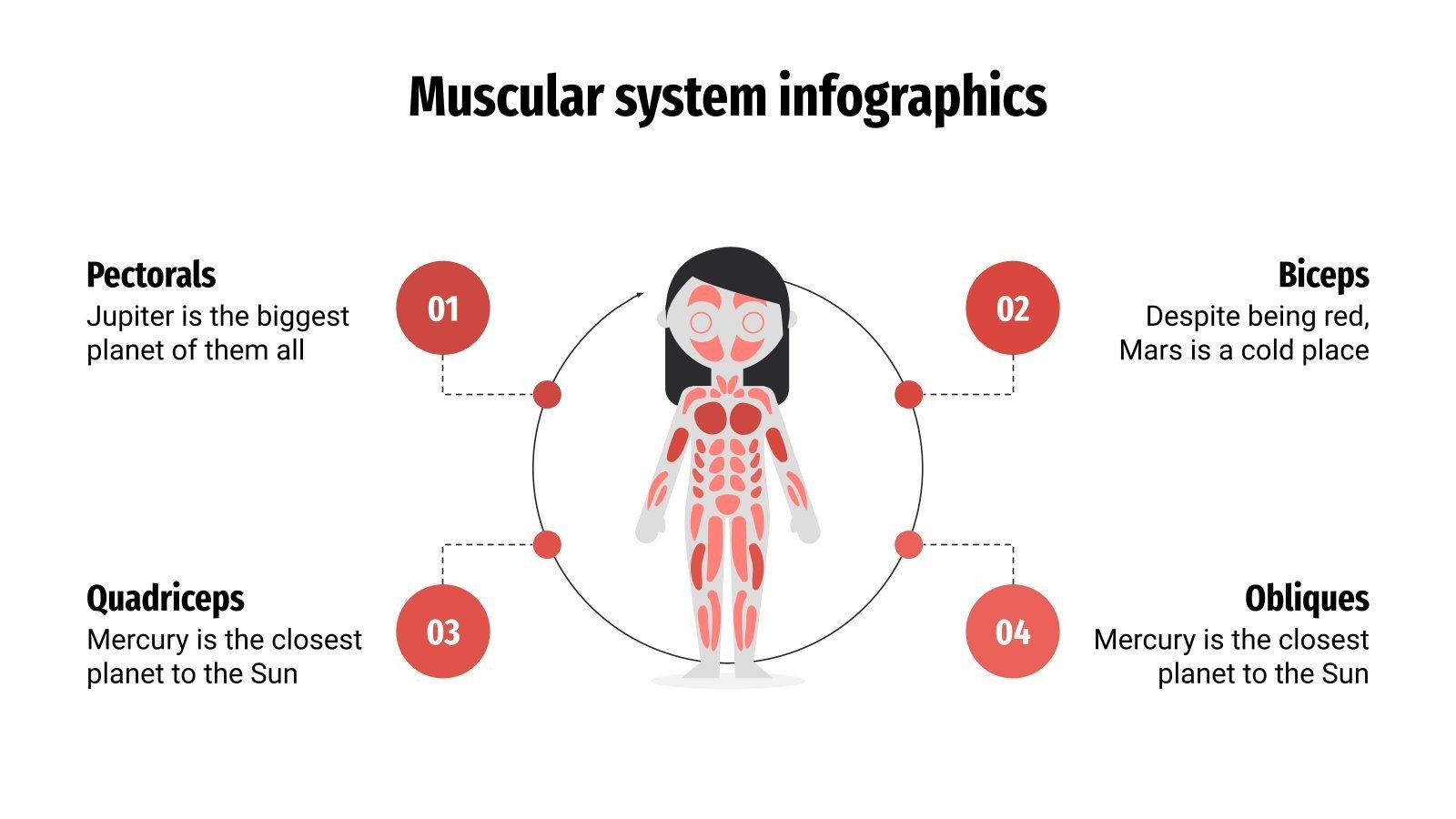 Muscular System Infographics | Google Slides and PowerPoint