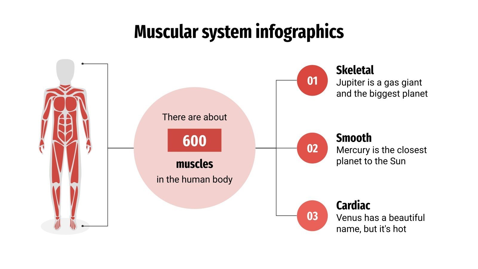 Muscular System Infographics | Google Slides and PowerPoint
