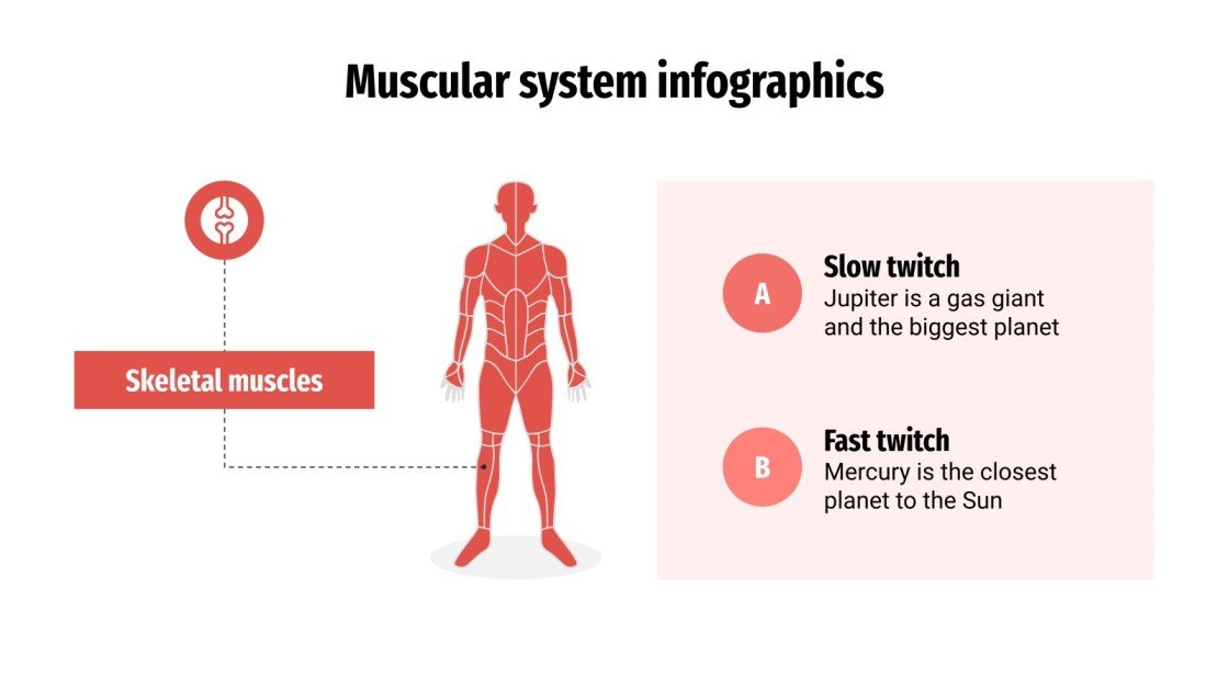 Muscular System Infographics | Google Slides and PowerPoint