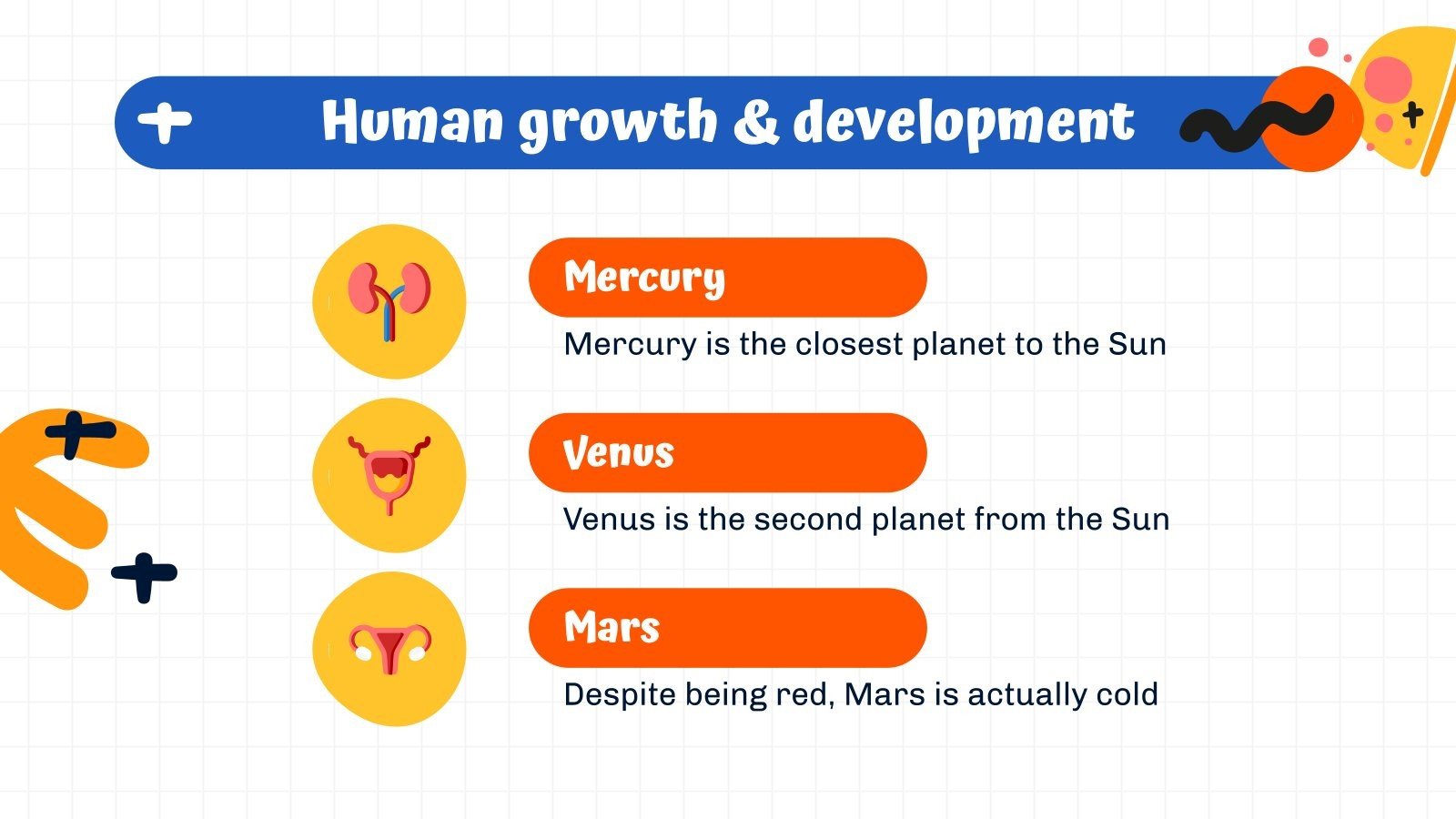 Science for Elementary: The Human Body | Google Slides