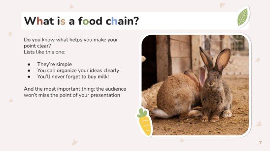 Biology Subject for Pre-K: Food Chain | Google Slides and PPT