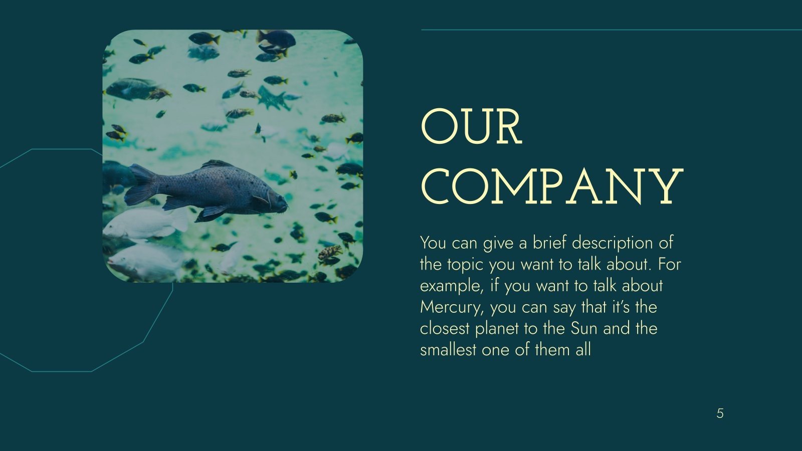Fish Farming Business Plan | Google Slides and PowerPoint