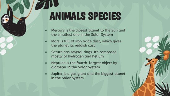 Science Subject for Pre-K: Investigate Animals | Google Slides