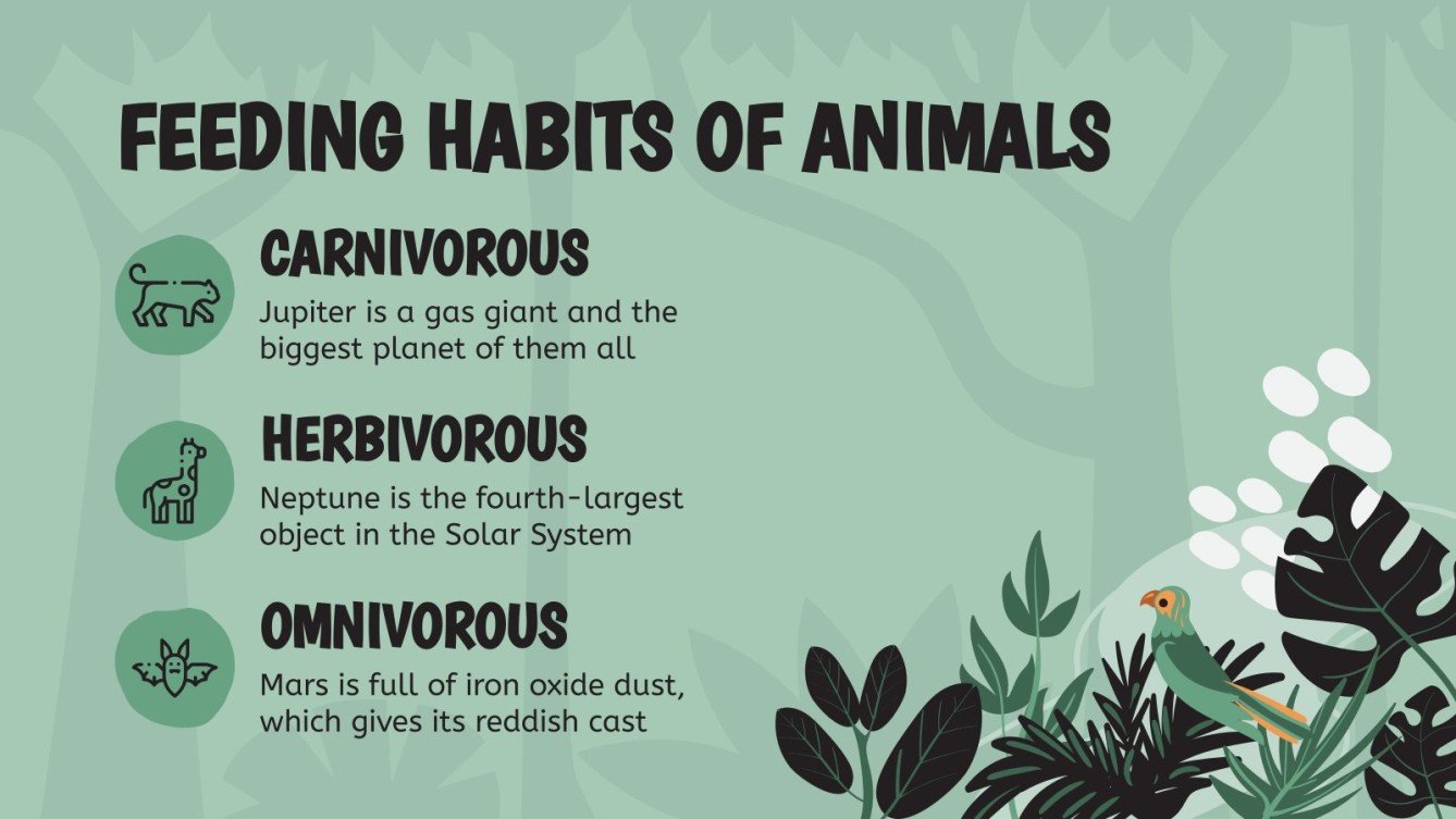 Investigación de animales para niños de preescolar