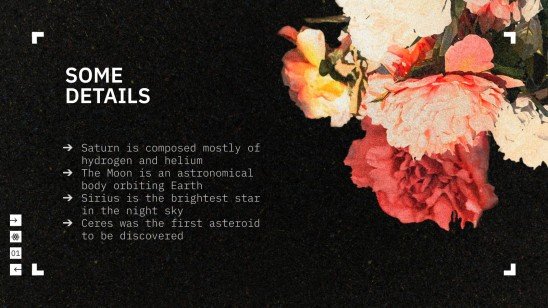 Rose Month | Google Slides Theme & PowerPoint Template