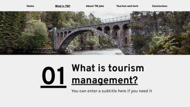 Business Major for College: Travel or Tourism Management